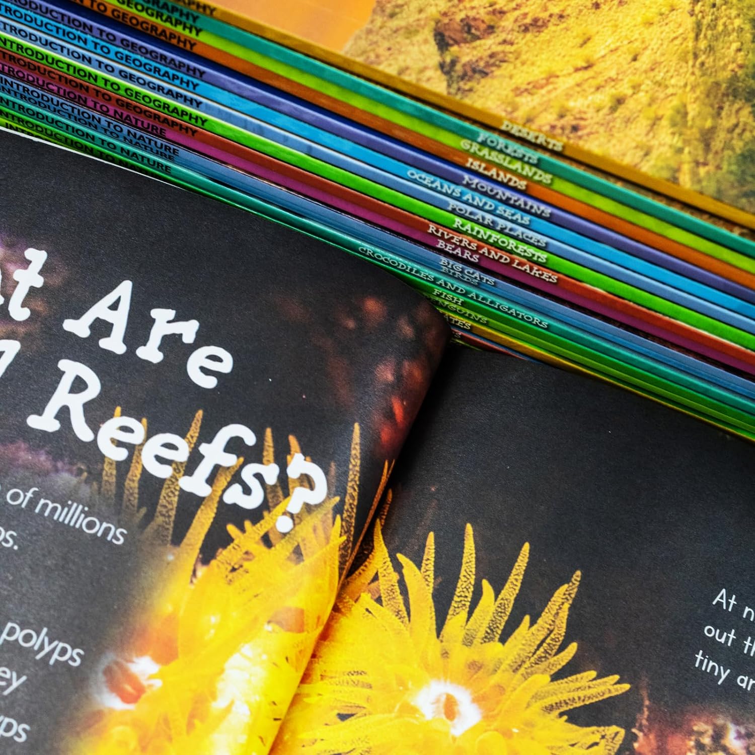 Children Introduction to Nature and Geography 20 Book Collection Set: