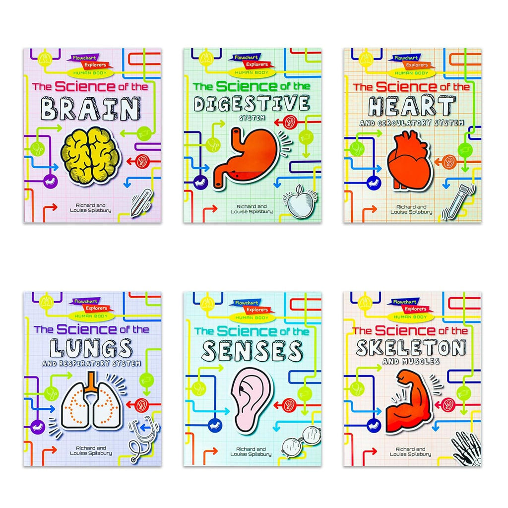 Flowchart Explorers Human Body STEM 6 Science Books Set: (Brain, Diges