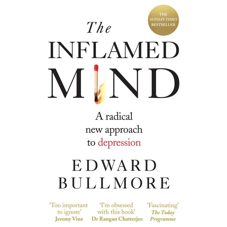 The Inflamed Mind: A radical new approach to depression by Edward Bull